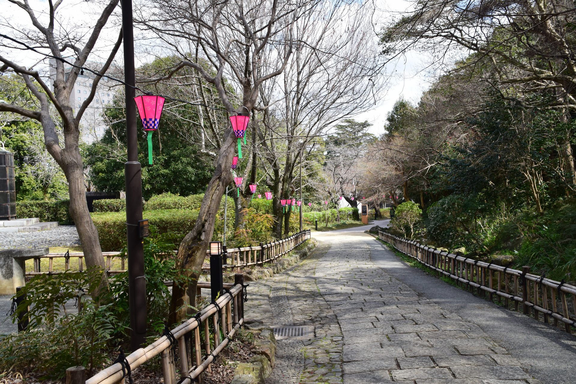 早春の「浜松城公園」: 浮き草日記