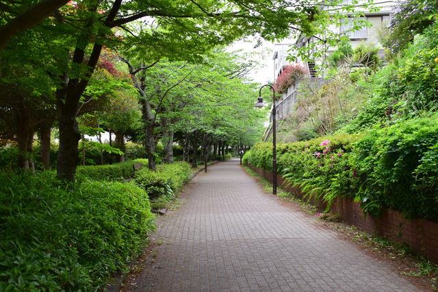 縄文時代にタイムスリップ: 浮き草日記