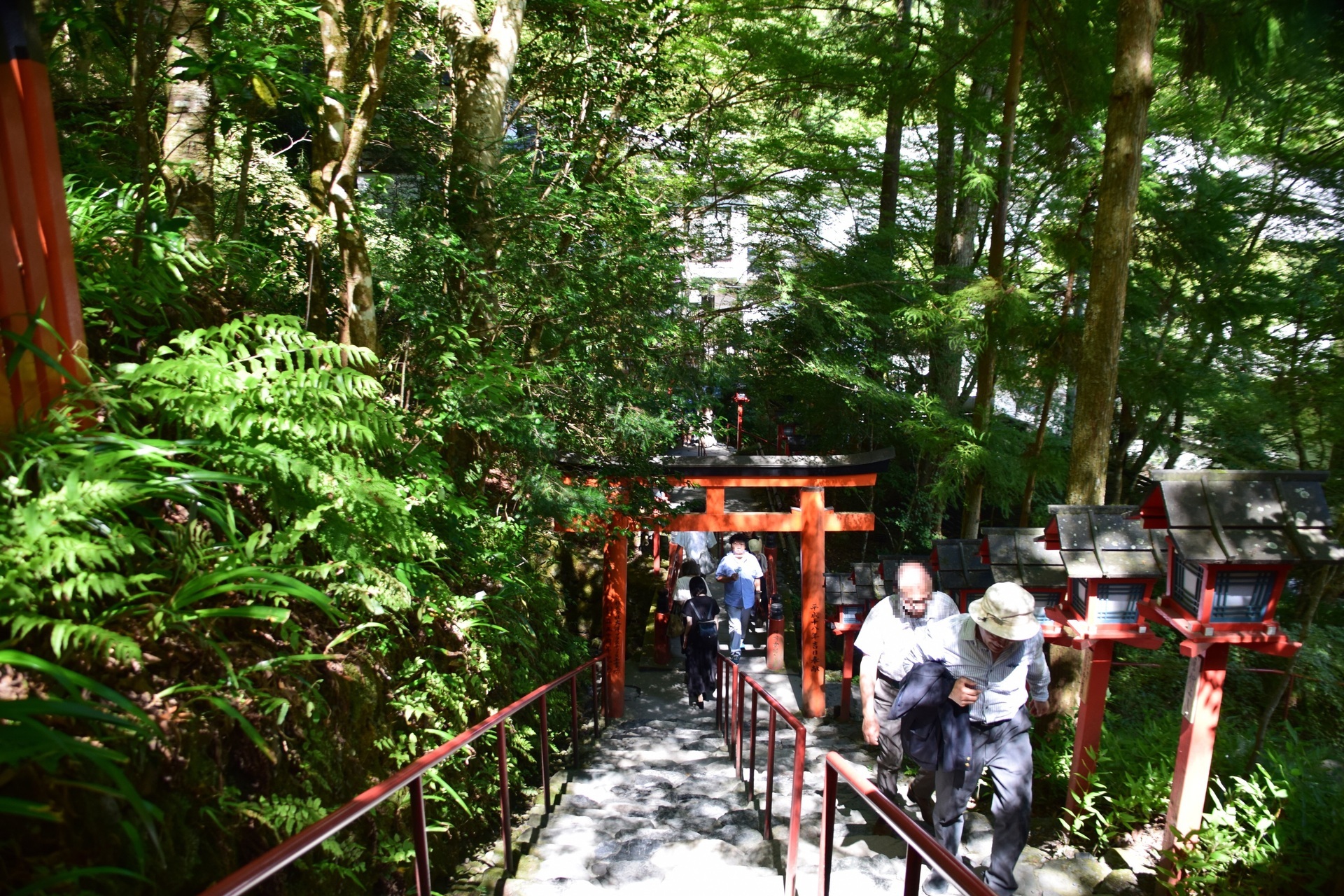 残暑厳しき京都 【貴船神社 奥宮編】: 浮き草日記