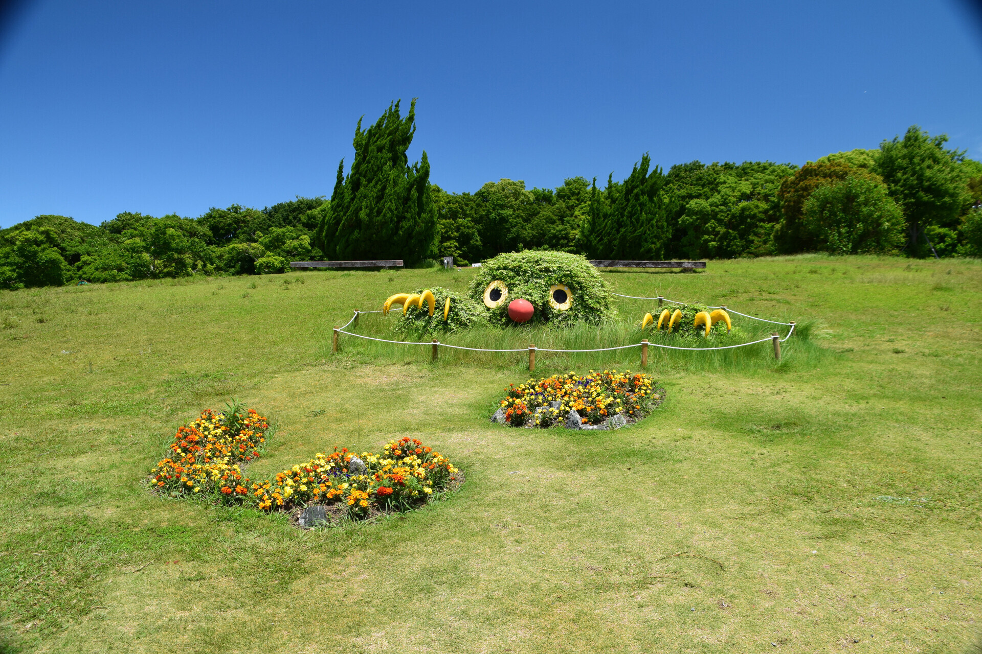 浜名湖花博2024（浜名湖ガーデンパーク）: 浮き草日記